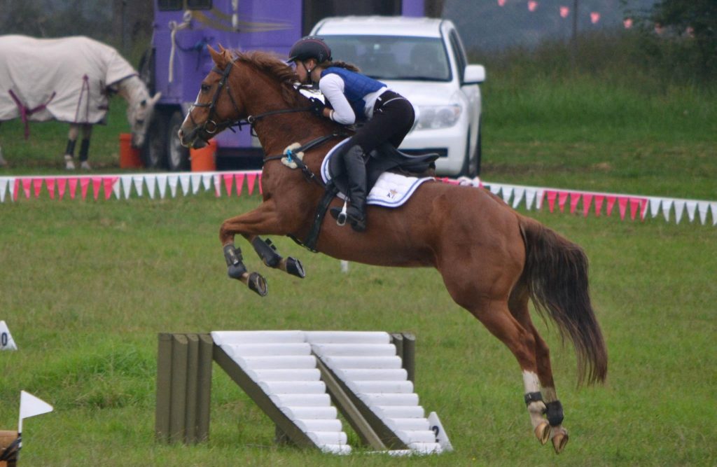 Eventing Training & Information | Berry Riding Club