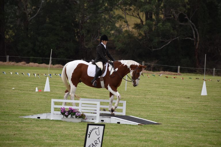 Working Equitation Play and Obstacle Day