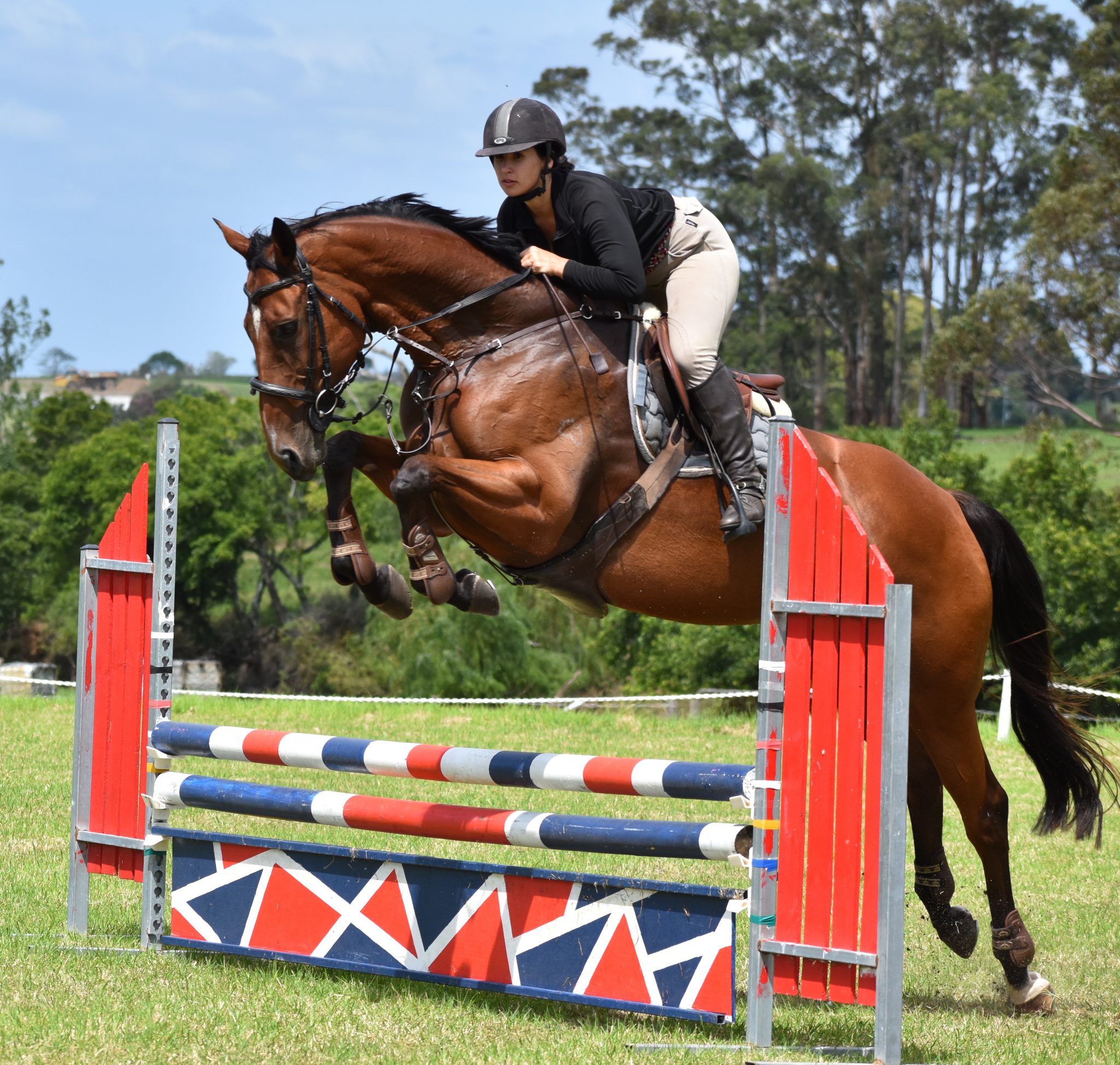 Clear Round Jumping Day - Sat 21 Nov