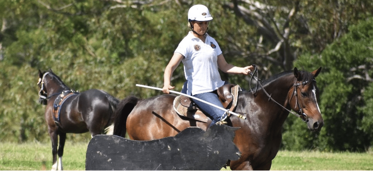 Working Equitation Play and Obstacle Day