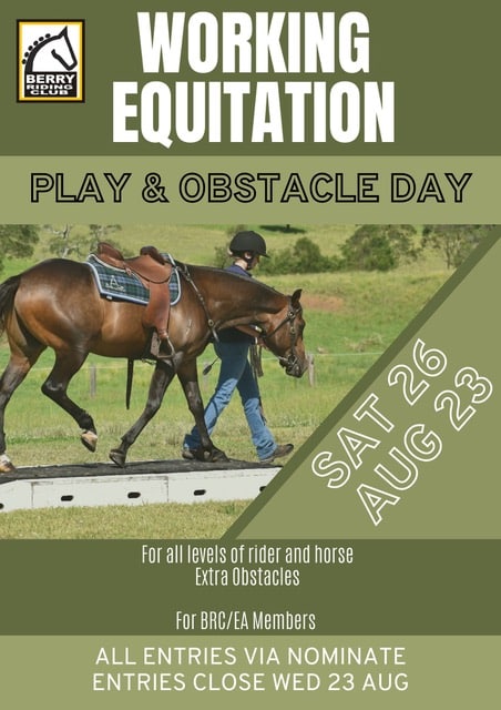 WE Play and Obstacle Day