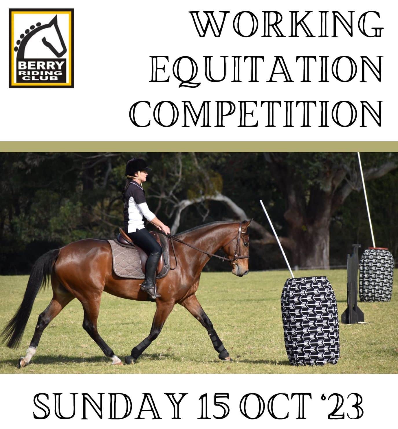 Working Equitation Competition with an ANWE Judge and More.