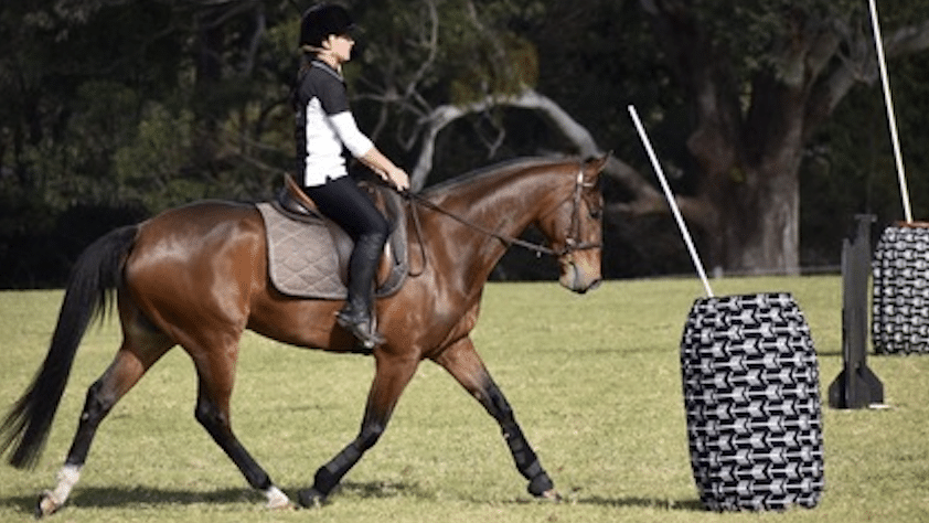 Working Equitation Ribbon Day with WE Dressage Test Practice Lesson